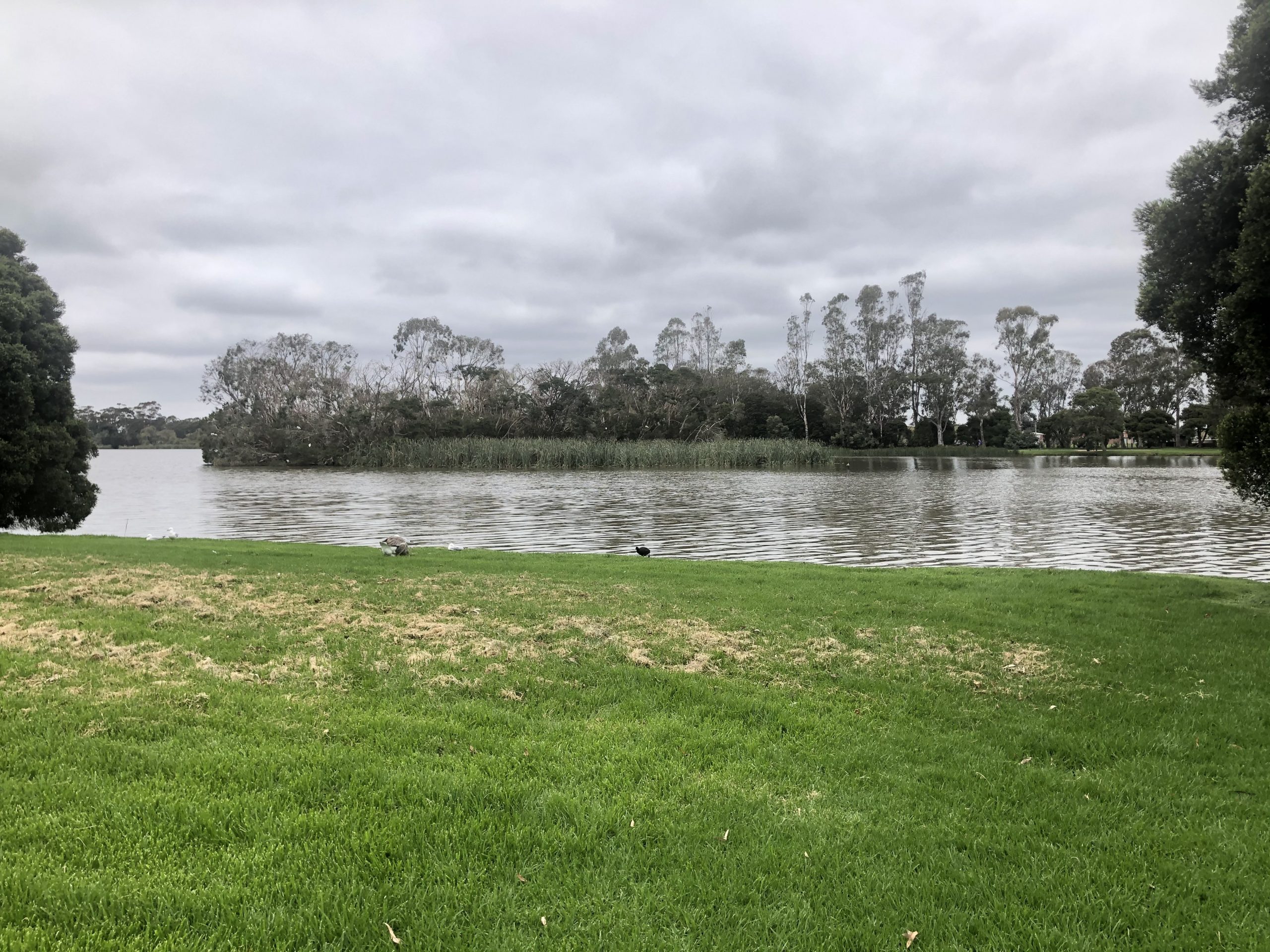 Lake Guthridge | Bon Accord
